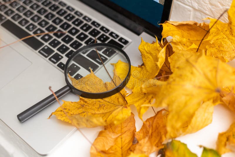 Autumn Leaves Fall Season Concept Editorial Stock Image - Image of look ...