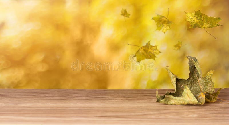 Autumn Leaves Fall on the Table. Autumn Background Stock Image - Image ...