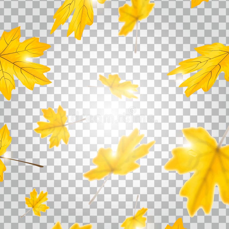 Autumn Leaves Fallen Leaves Background Vector Illustration Stock Vector ...