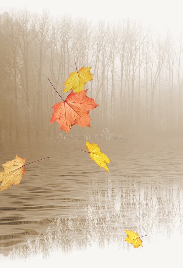 Autumn Leaves Falling on Lake Stock Photo - Image of reflected, scenic ...