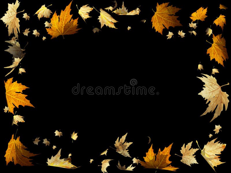 Autumn Leaves Falling Rectangle Square Frame Isolated for Background ...