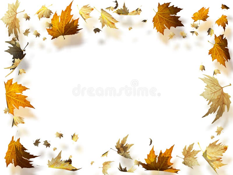 Autumn Leaves Falling and Flying by the Wind Isolated for Background ...