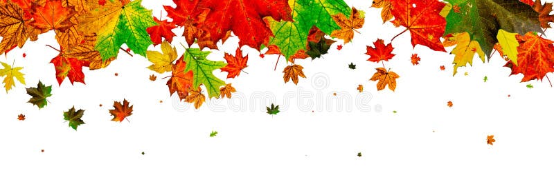 November Leaves Border