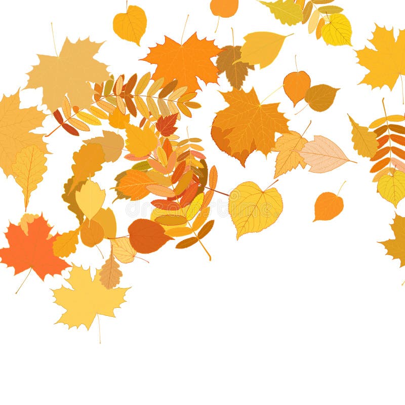 Autumn Leaves Falling and Spinning on White. Stock Vector ...
