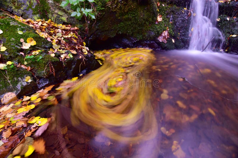 Autumn Leaves Float on the Surface of the Stream Stock Photo - Image of ...