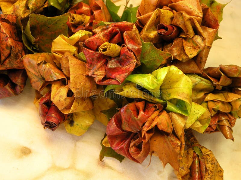 Autumn leaves flowers stock photo. Image of tree, create - 28034352