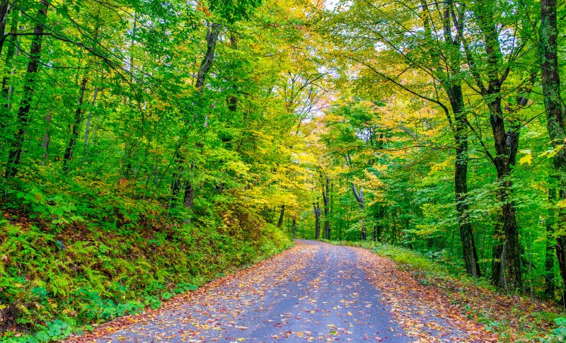 Autumn Leaves in Foliage Season, Fall Colors Stock Photo - Image of ...