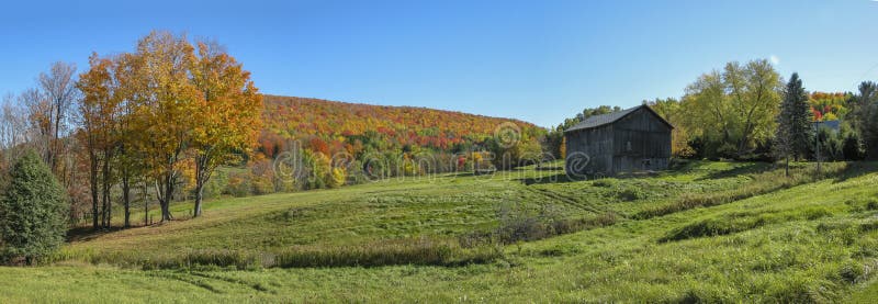 Autumn Leaves in Forest,Pennsylvania Stock Image - Image of ...