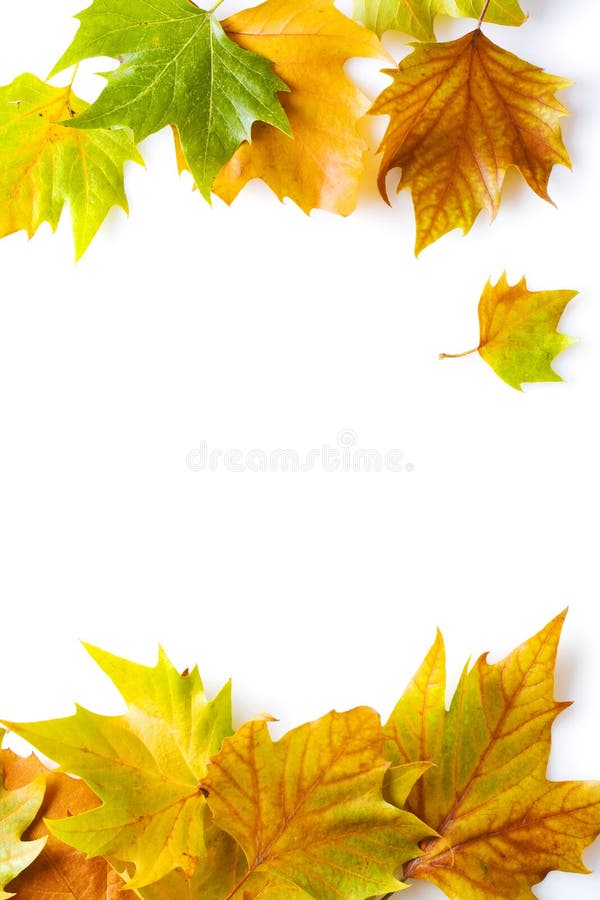Autumn leaves frame stock photo. Image of september, vibrant - 6690656