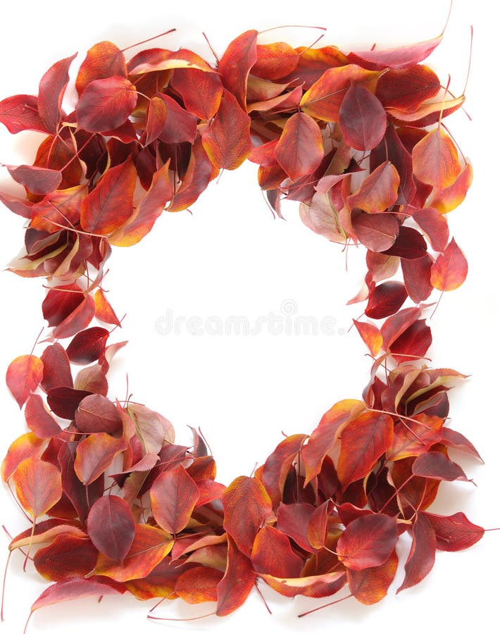 Autumn leaves frame stock image. Image of natural, environment - 6783029