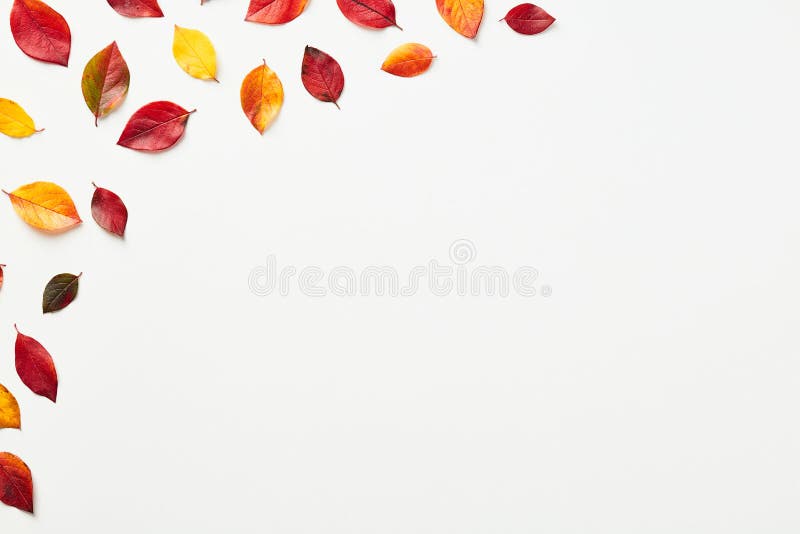 Autumn Leaves Frame Corner Isolated on White Background. Autumn, Fall ...