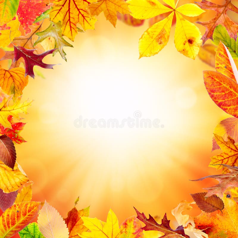 Autumn Leaves Frame stock illustration. Illustration of group - 57453174