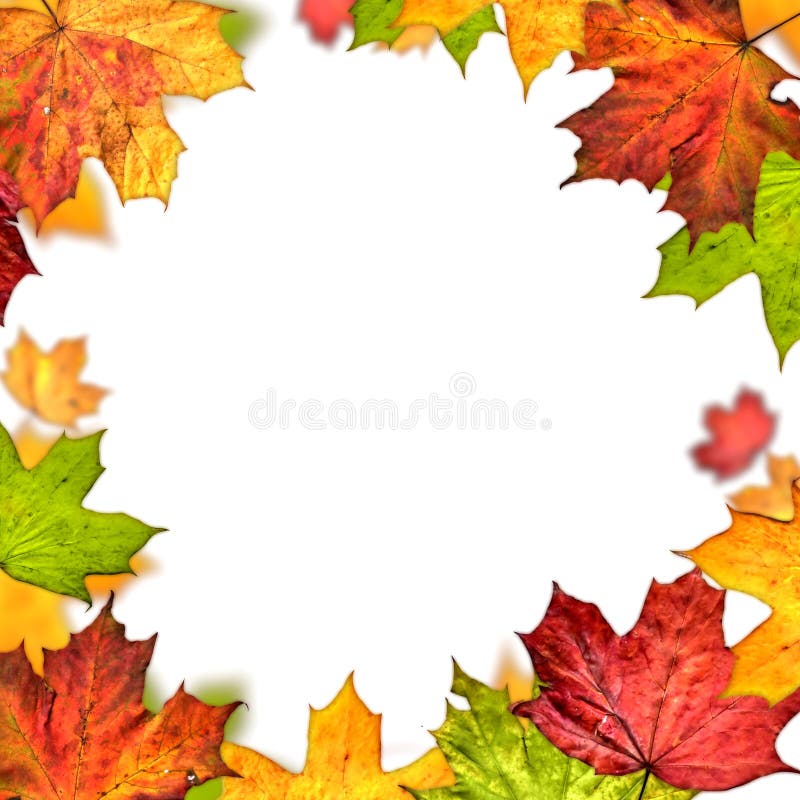 960+ Autumn leaves frame background Free Stock Photos - StockFreeImages