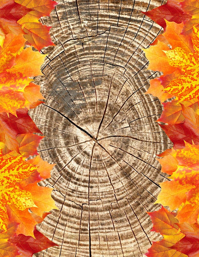 Autumn Leaves Frame Over Wooden Texture Stock Photo - Image of autumn ...