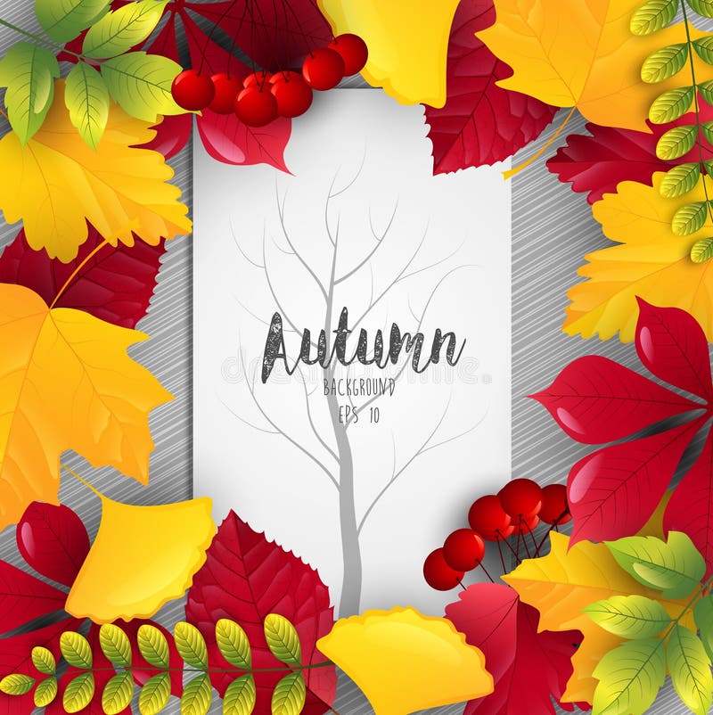 Autumn Leaves Frame with Tree Silhouette on Center Paper Stock Vector ...