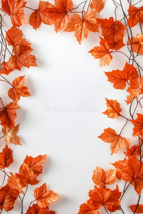 Autumn Leaves Frame White Background Fall Foliage High Quality Image ...