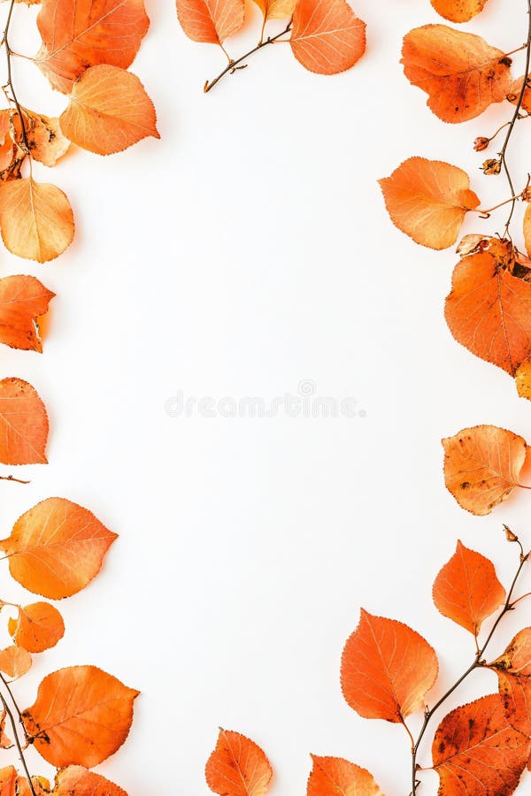 Autumn Leaves Frame White Background Orange Fall High Quality Image ...