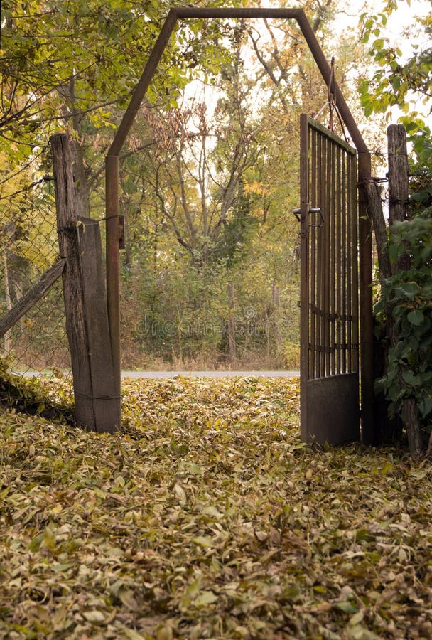 The autumn leaves stock image. Image of frame, colorful - 80293081