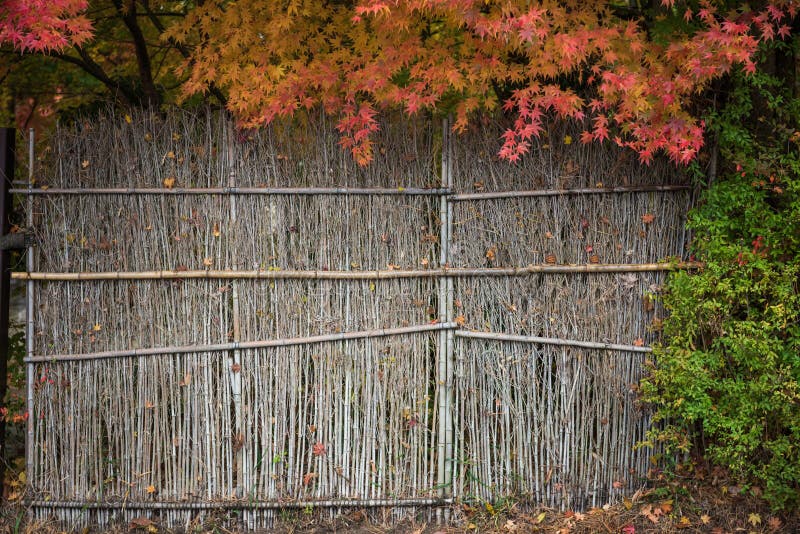 Autumn Leaves Green Red Maple Border with Bamboo Background Stock Image ...