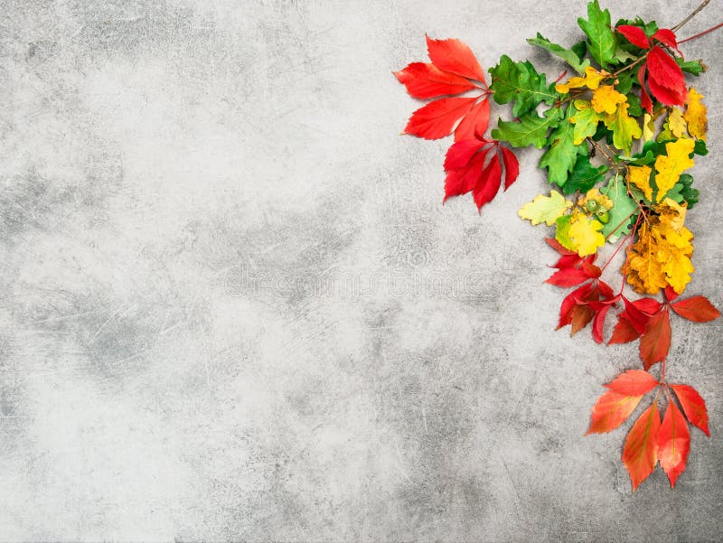 Autumn Leaves Grey Stone Texture Fall Background Stock Image - Image of ...