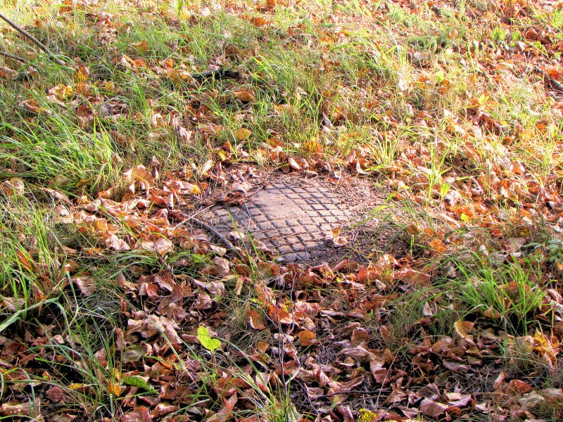 Autumn Leaves on the Hatch. Stock Photo - Image of autumn, yellow ...