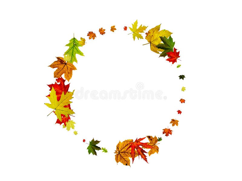 Autumn Leaves Isolated. November Falling Pattern Background. Season ...