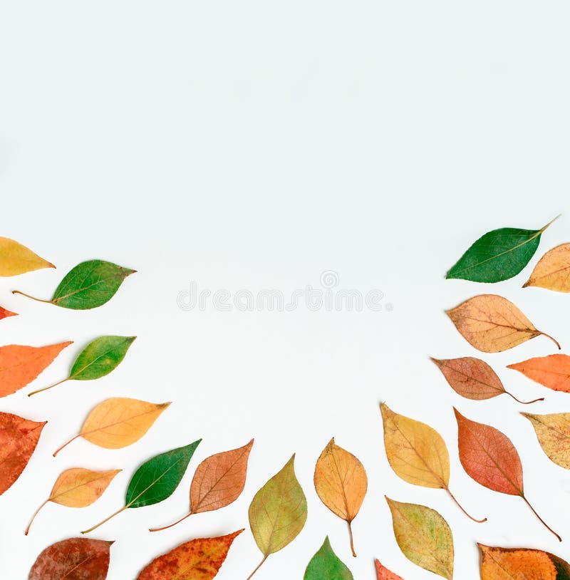 Autumn Leaves Isolated on White Background. Autumn Leaves Background ...