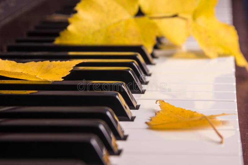 7,274 Instrument Autumn Stock Photos - Free & Royalty-Free Stock Photos ...