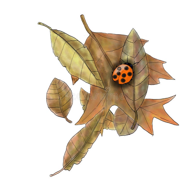 Autumn leaves and ladybug stock illustration. Illustration of color ...
