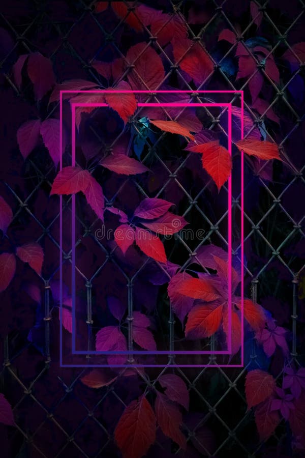 Fluorescent Light Template with Glowing Neon Frame on Fall Leaves ...