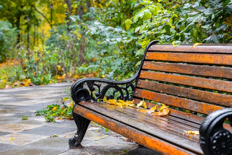 Autumn Leaves Lie on an Empty Park Bench Stock Image - Image of weather ...