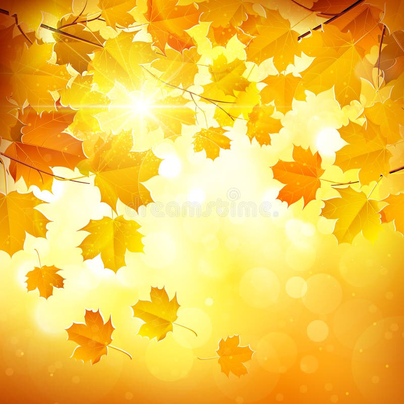 Autumn Leaves Stock Vector Illustration Of Orange Texture 43871727