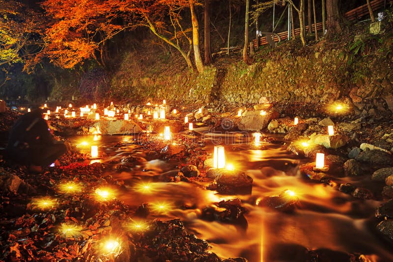 Autumn leaves in the night stock photo. Image of foliage - 35730448