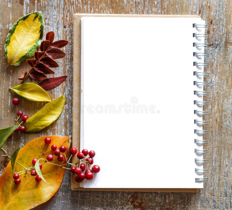 Autumn leaves and notebook stock image. Image of colorful - 101154309