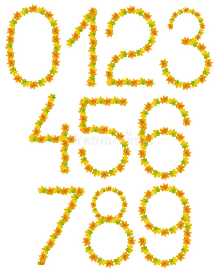 Autumn leaves numbers stock photo. Image of design, educate - 21639530