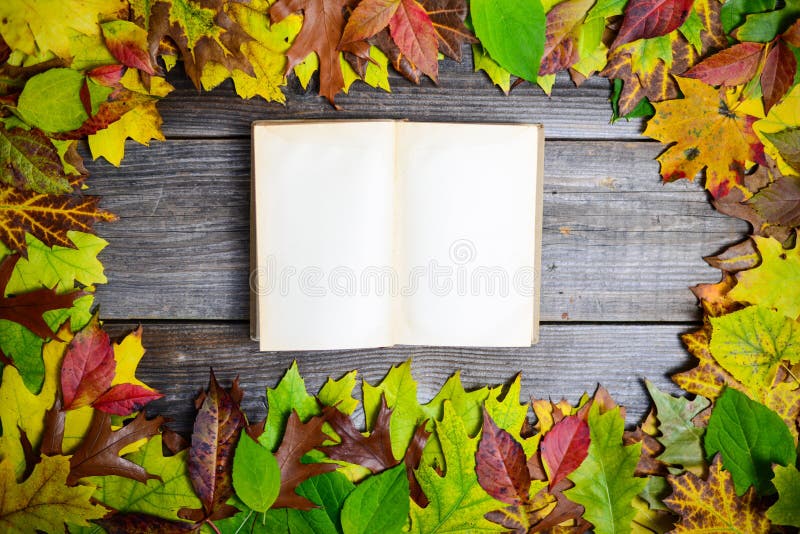 Autumn Leaves and Old Book on the Table Stock Photo - Image of letter ...