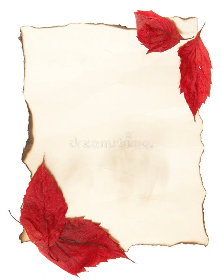 215 Page Break Leaves Stock Photos - Free & Royalty-Free Stock Photos ...