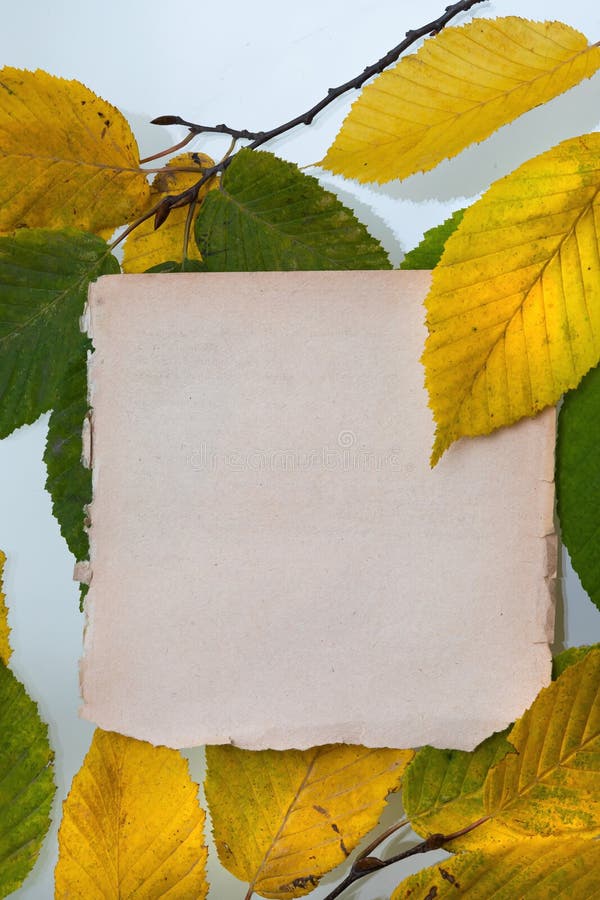 Autumn Leaves on the Old Paper Sheet Isolated on White Stock Image ...