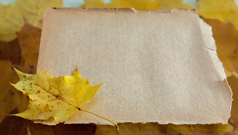 Autumn Leaves on the Old Paper Sheet Isolated on White Stock Photo ...