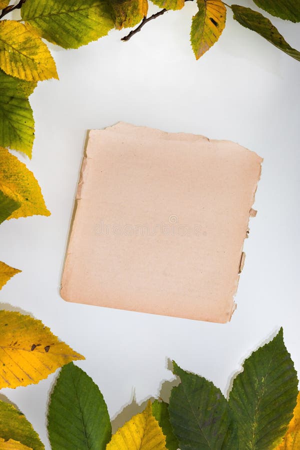 Autumn Leaves on the Old Paper Sheet Isolated on White Stock Image ...