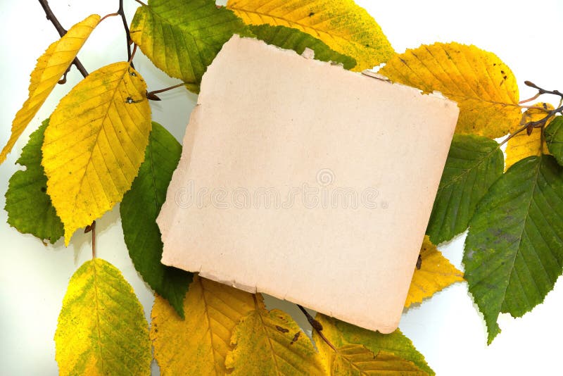 Autumn Leaves on the Old Paper Sheet Isolated on White Stock Photo ...