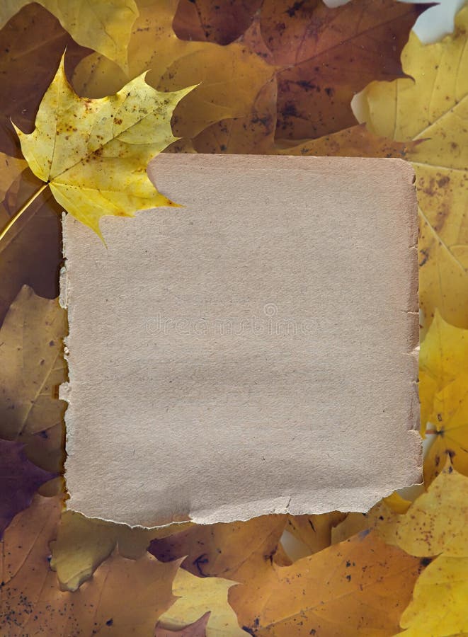 Autumn Leaves on the Old Paper Sheet Isolated on White Stock Photo ...