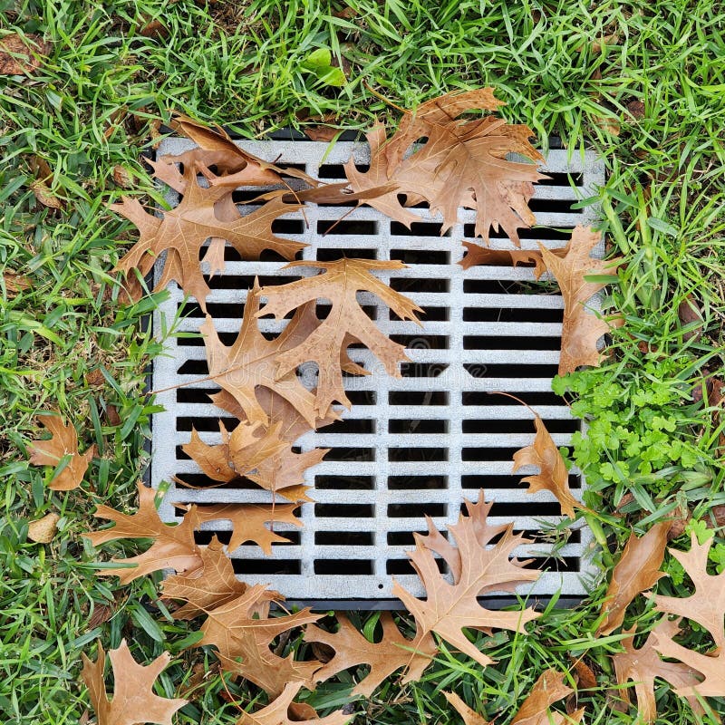 Autumn Leaves and Other Objects on the Ground Stock Photo - Image of ...