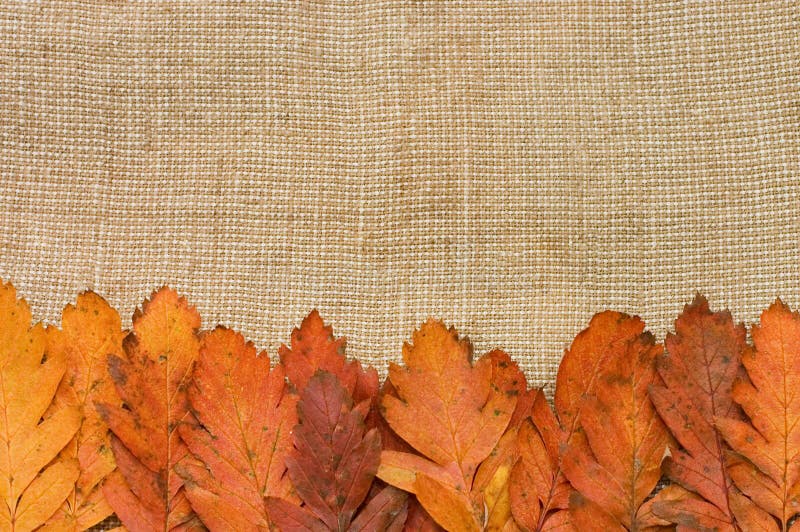 Autumn Leaves Over Burlap Background Stock Photo - Image of nature ...