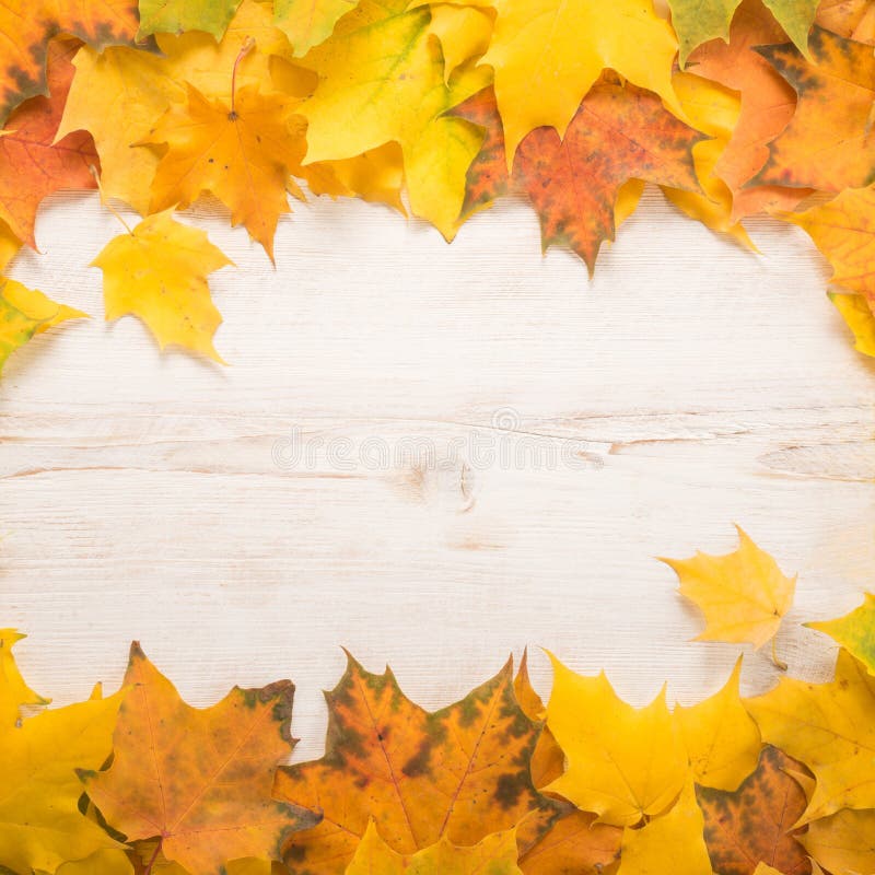 Autumn Leaves Over White Background Stock Photo - Image of leaves ...
