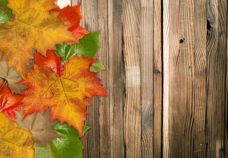 Autumn Leaves Over Wood Background Stock Photo - Image: 21156600