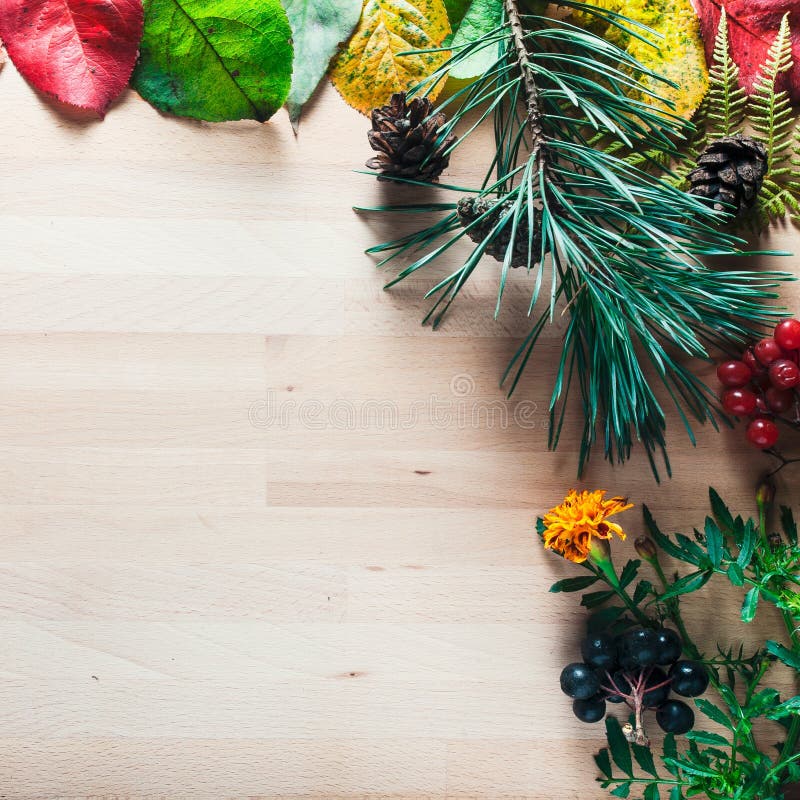Autumn Leaves Over Wooden Table Background . Frame Stock Photo - Image ...