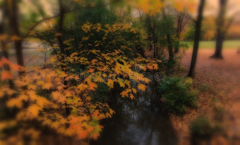 Autumn Leaves in a Park Overlooking a Stream Stock Image - Image of ...