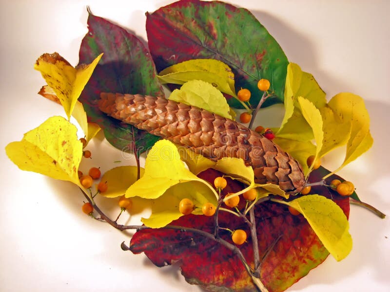Autumn Leaves With Pine Cone Stock Photo - Image of golden, colors: 1394842