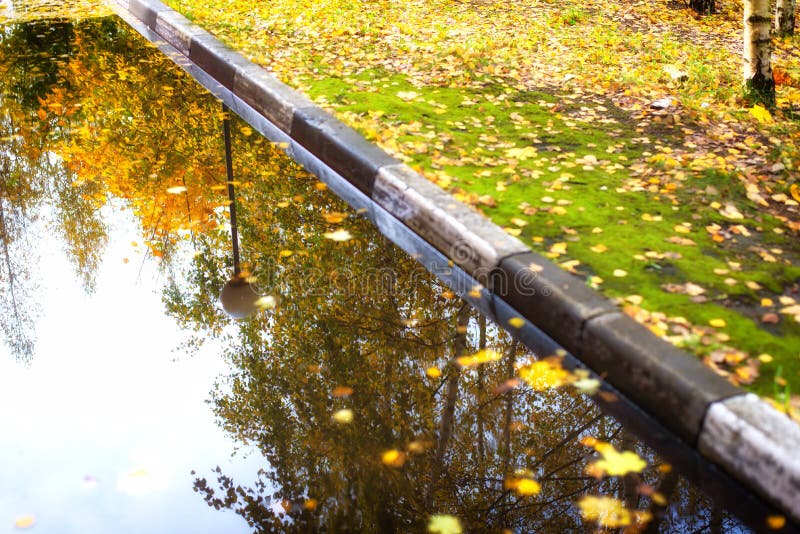 Autumn Leaves in a Puddle. Rich Colors. Stock Image - Image of autumn ...
